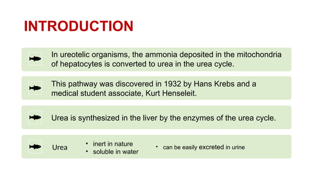 Urea Cycle in Fish PowerPoint .pptx | Chemistry | Science