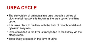 Urea Cycle in Fish PowerPoint .pptx | Chemistry | Science