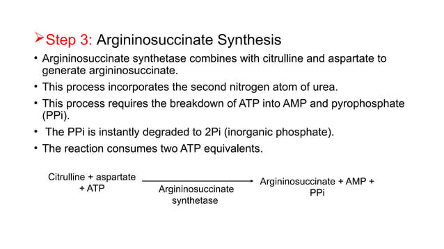 Urea Cycle in Fish PowerPoint .pptx | Chemistry | Science