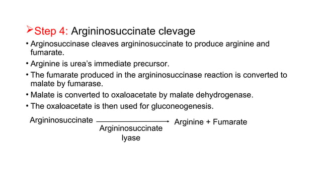 Urea Cycle in Fish PowerPoint .pptx | Chemistry | Science