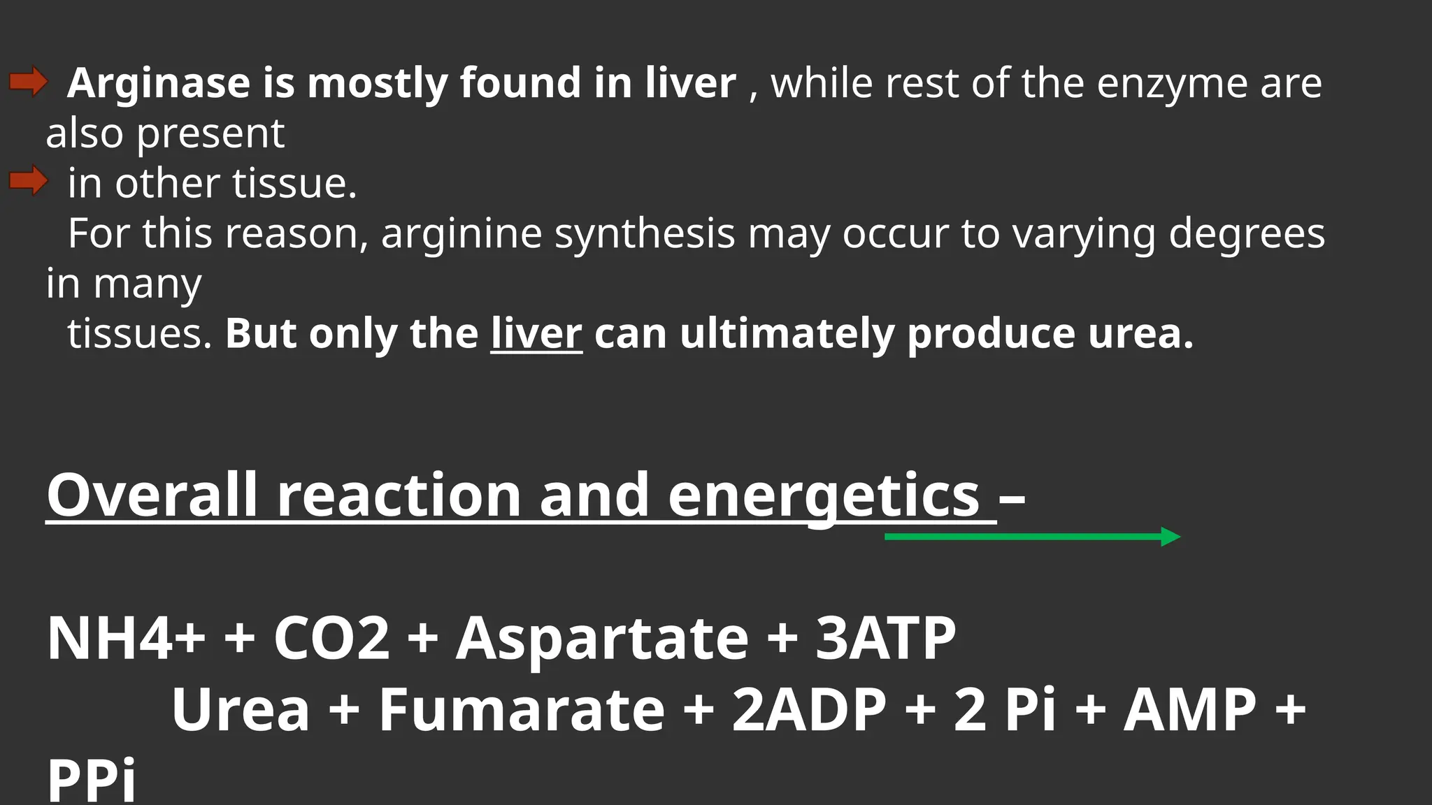 urea cycle .pptx