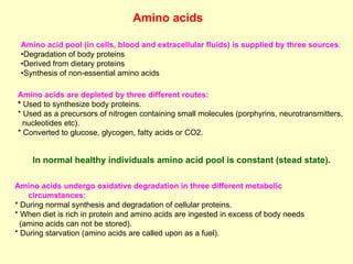 Comprehensive Overview of Nitrogen Metabolism and Urea Cycle in Human ...