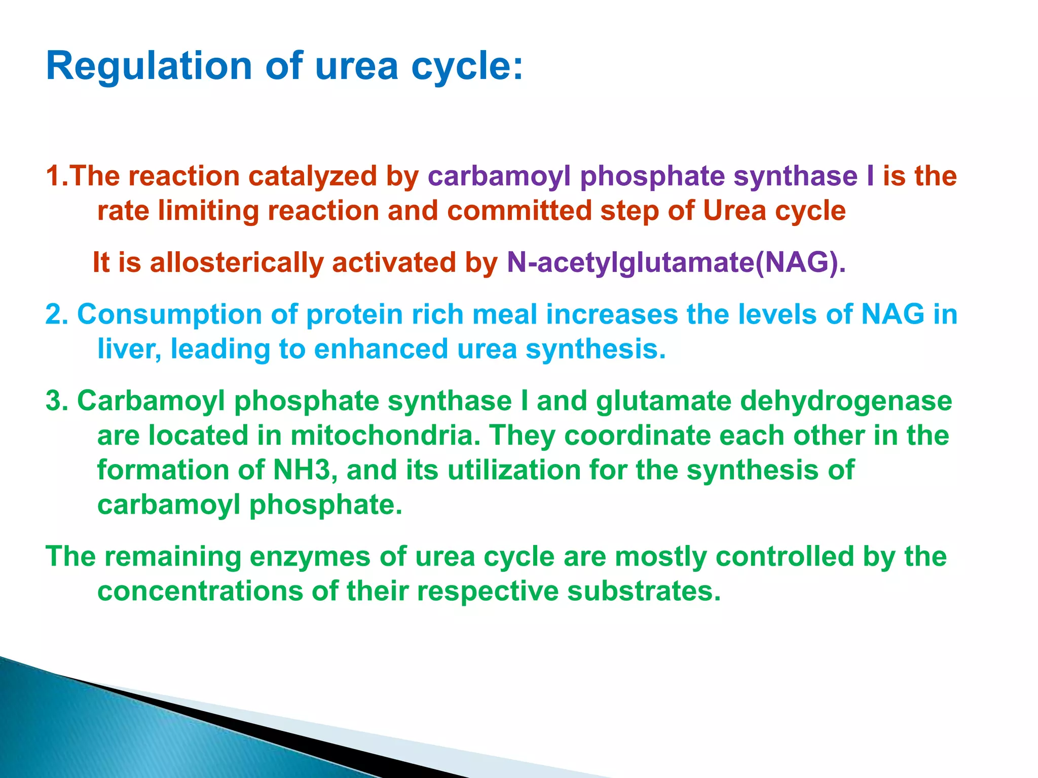Urea cycle for Medical students Dr veerendra | PPTX