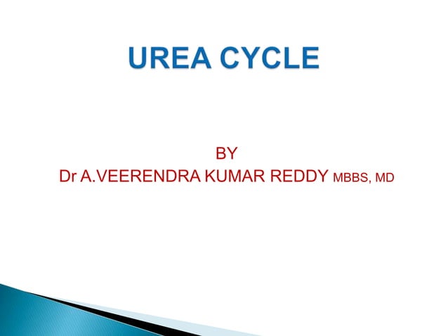 Urea cycle for Medical students Dr veerendra | PPTX