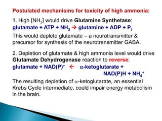 Urea cycle for Medical students Dr veerendra | PPTX