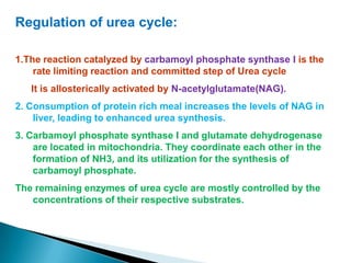 Urea cycle for Medical students Dr veerendra | PPTX
