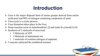 Urea cycle | PPTX