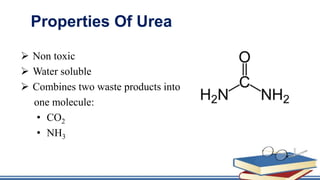 Urea cycle | PPTX