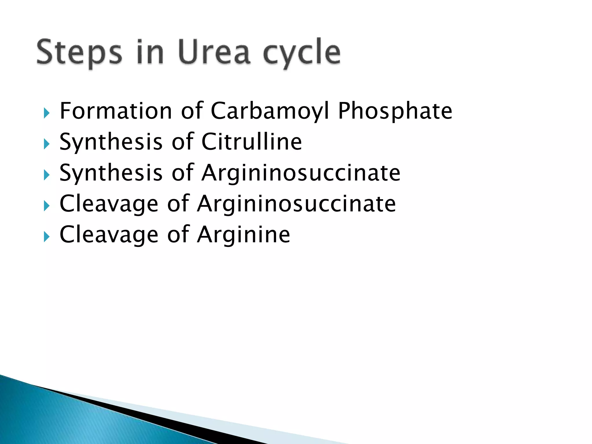 Urea cycle | PPT