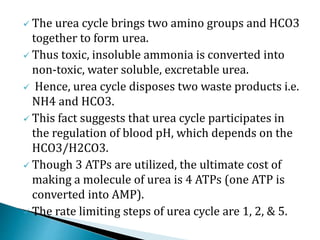 Urea cycle | PPT