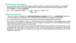 Urea cycle and creatinine cycle in protein synthesis | PPTX