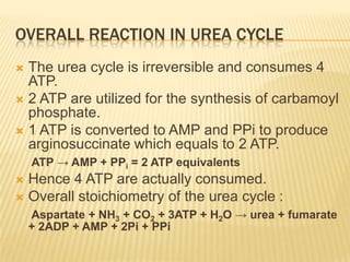 Urea cycle2 | PPTX