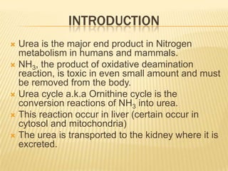 Urea cycle2 | PPTX