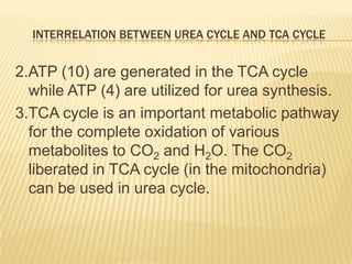 Urea cycle2 | PPTX