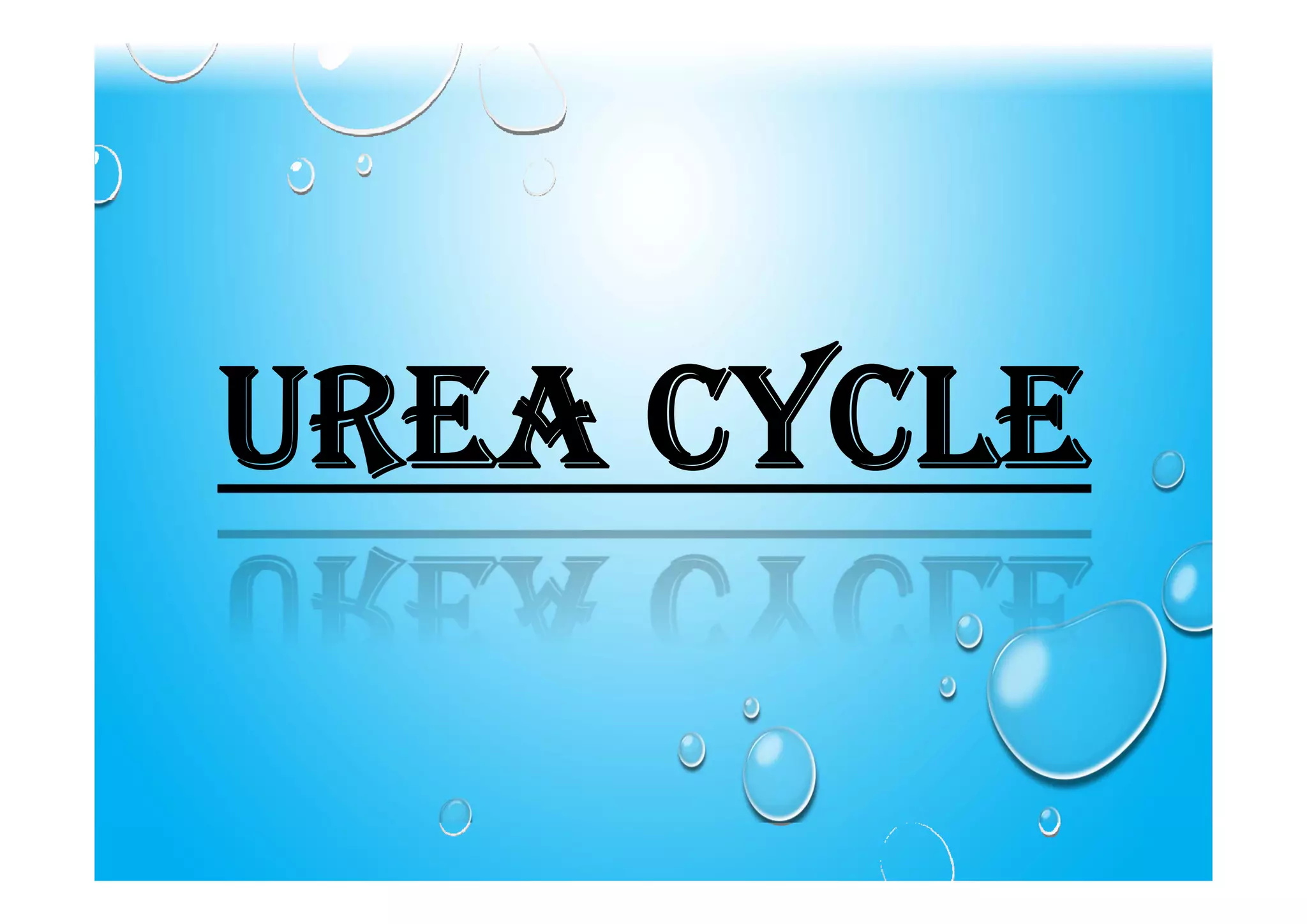 Urea cycle, | PDF