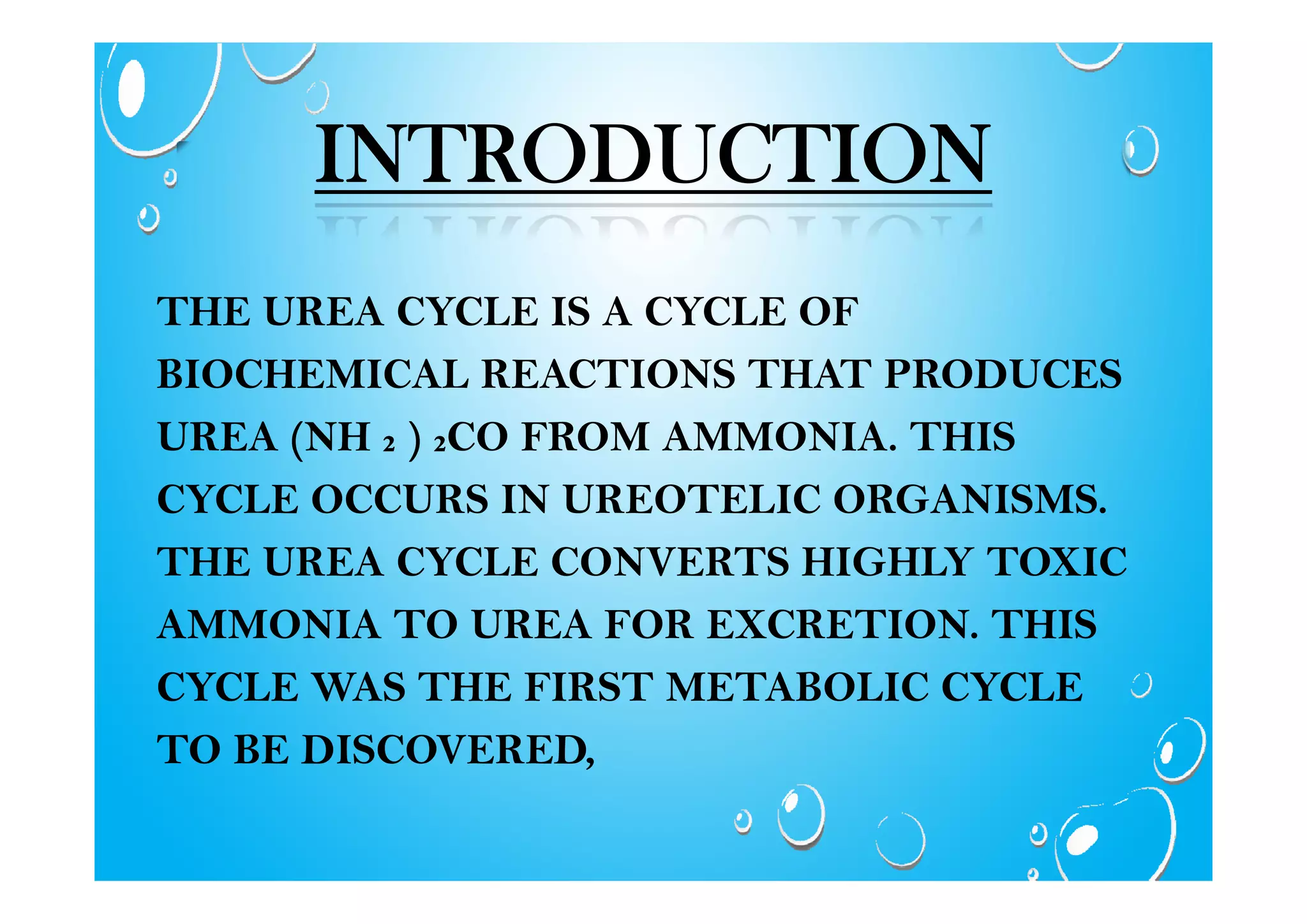 Urea cycle, | PDF