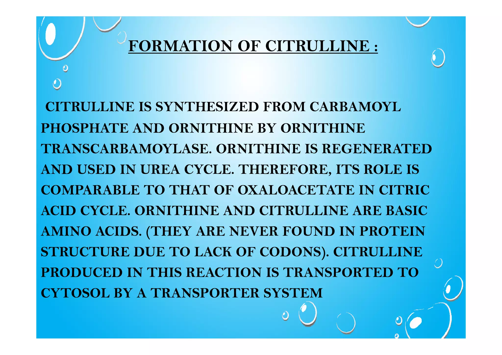 Urea cycle, | PDF