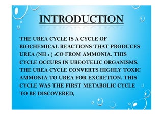 Urea cycle, | PDF
