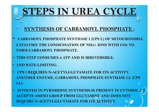 Urea cycle, | PDF