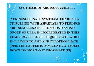 Urea cycle, | PDF
