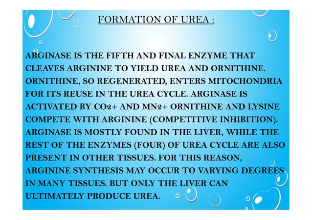 Urea cycle, | PDF