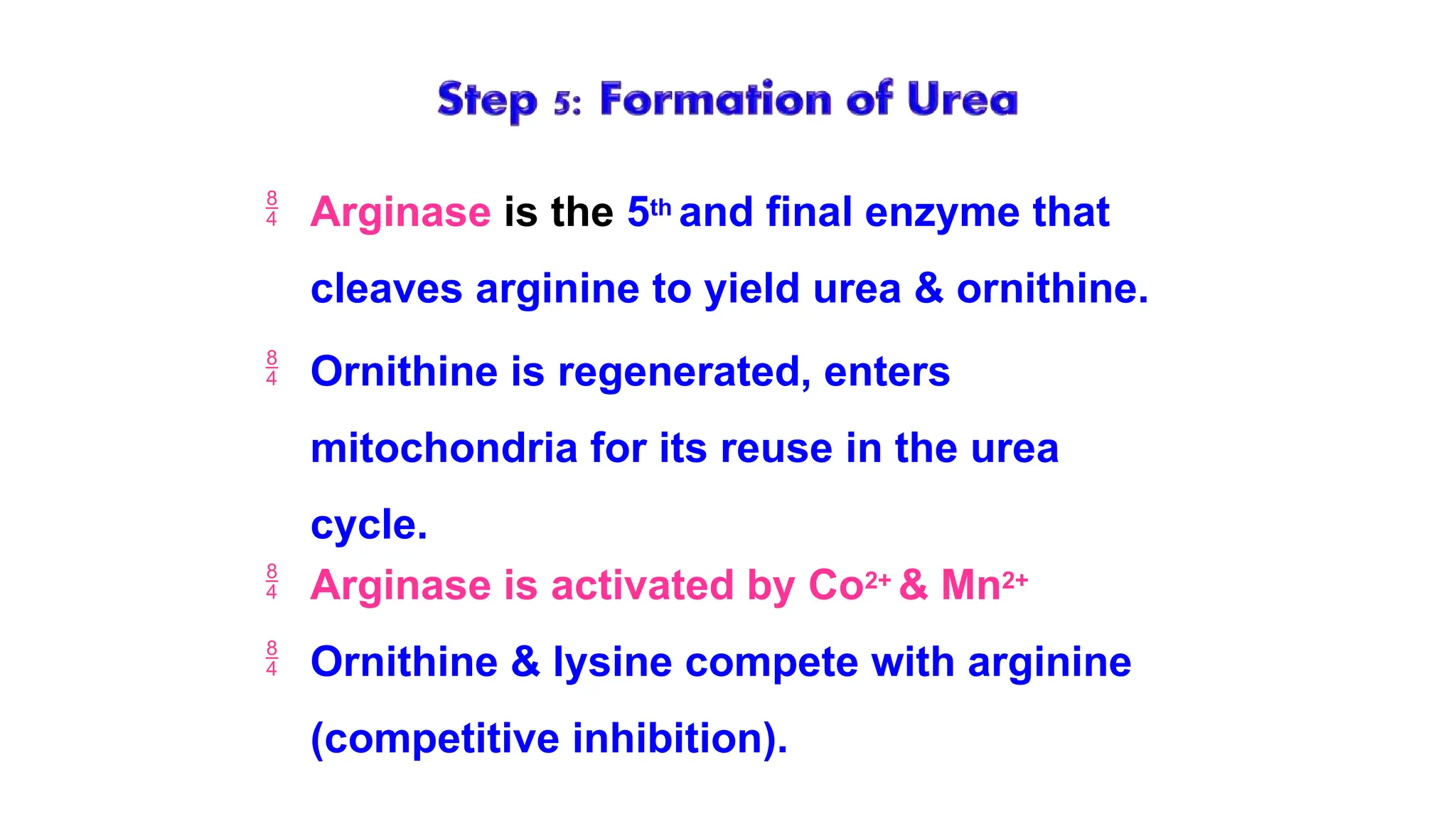 Urea cycle and Ammonia Toxicity.ppt....... | PPT