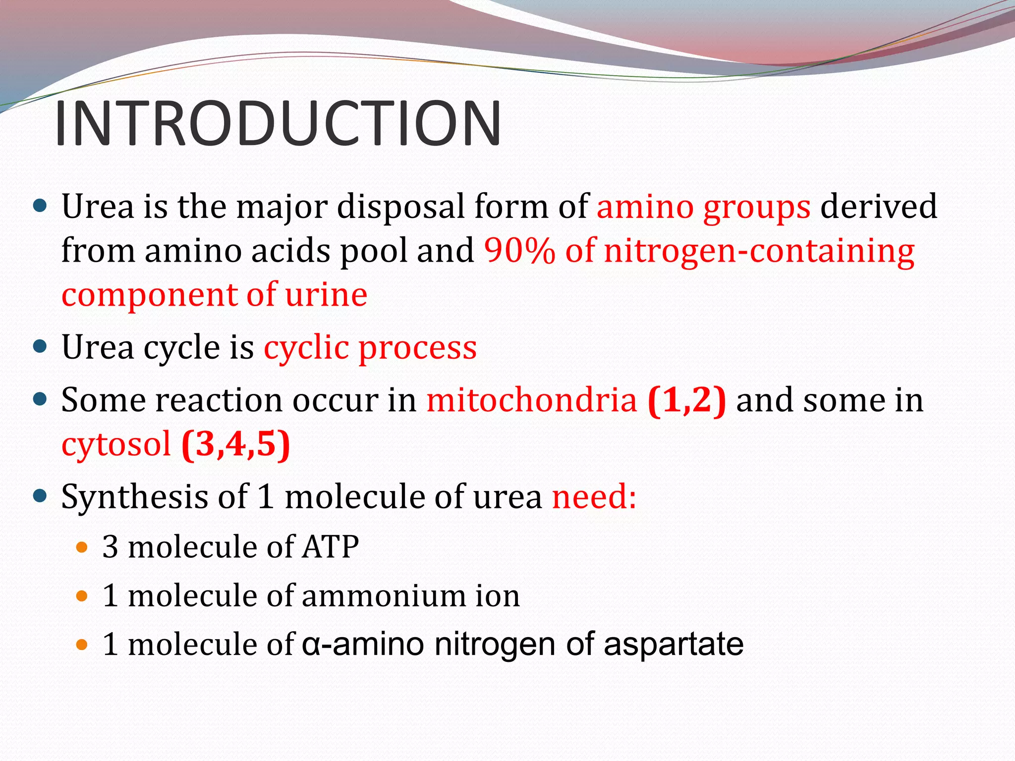 Urea cycle and disorder | PPTX