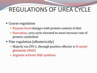 Urea cycle and disorder | PPTX