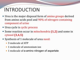 Urea cycle and disorder | PPTX