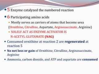 Urea cycle and disorder | PPTX