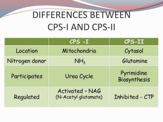 Urea cycle and disorder | PPTX
