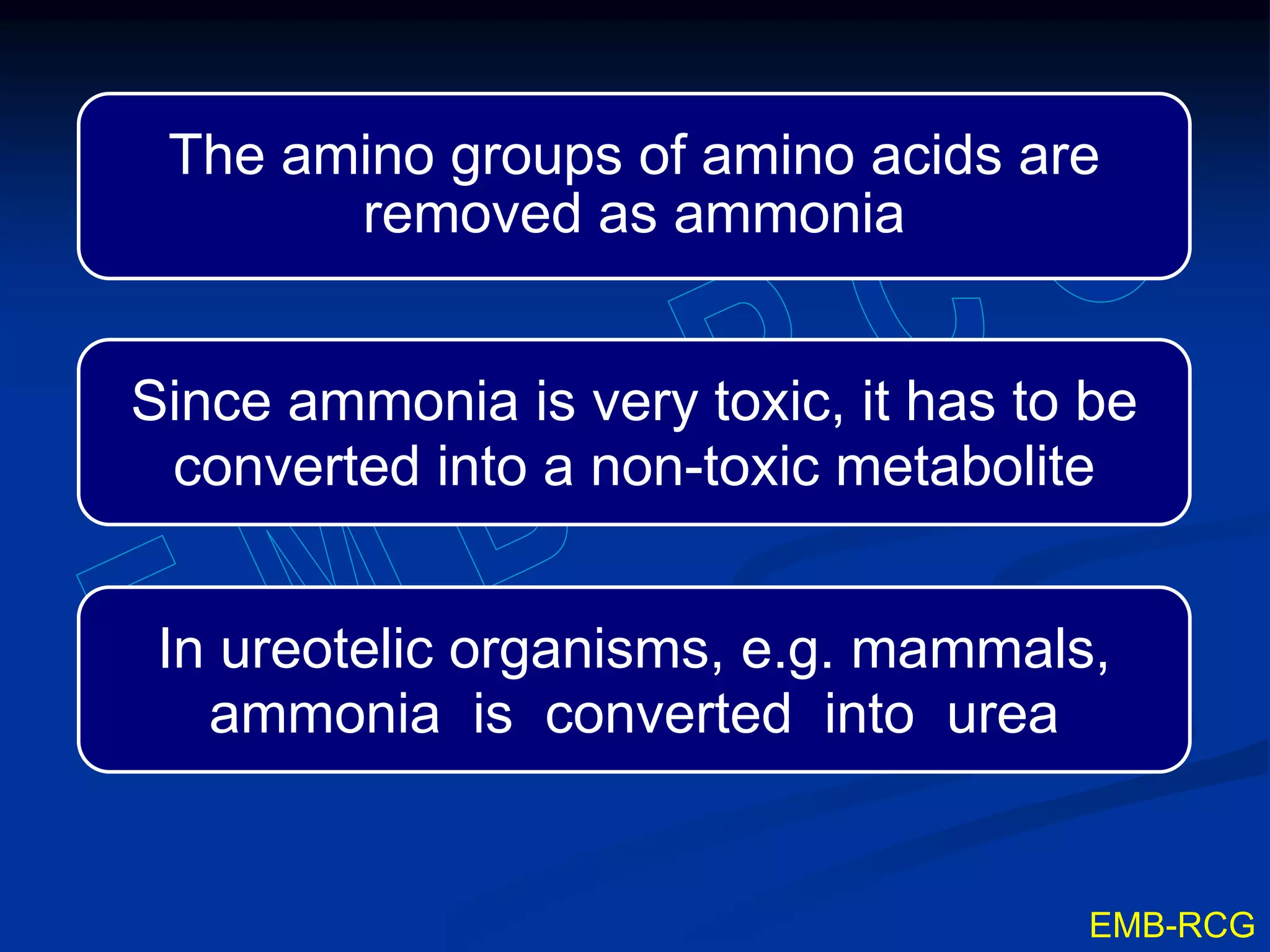 Urea cycle and its disorders | PPTX