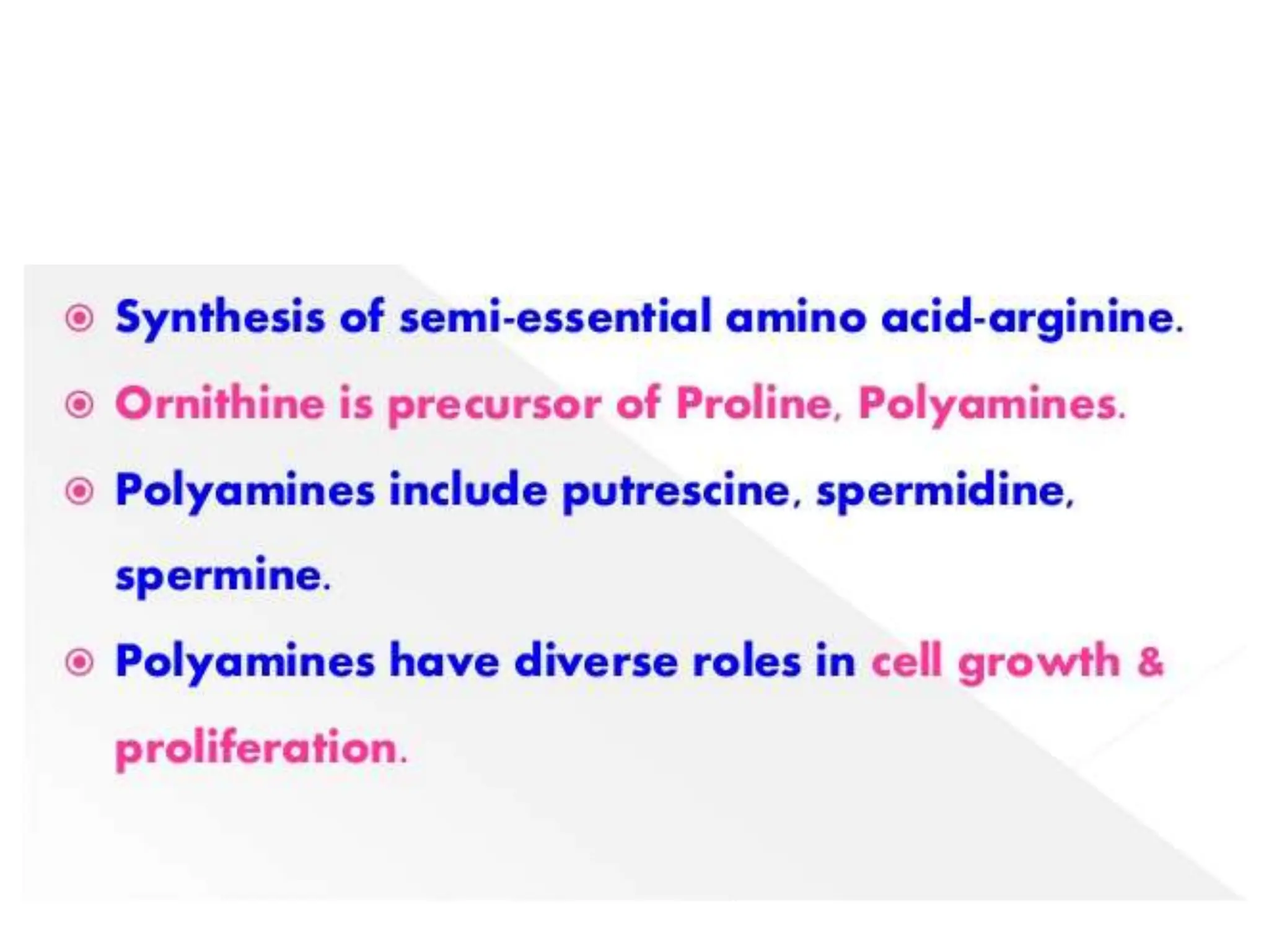 Urea cycle formation and its significance | PPTX