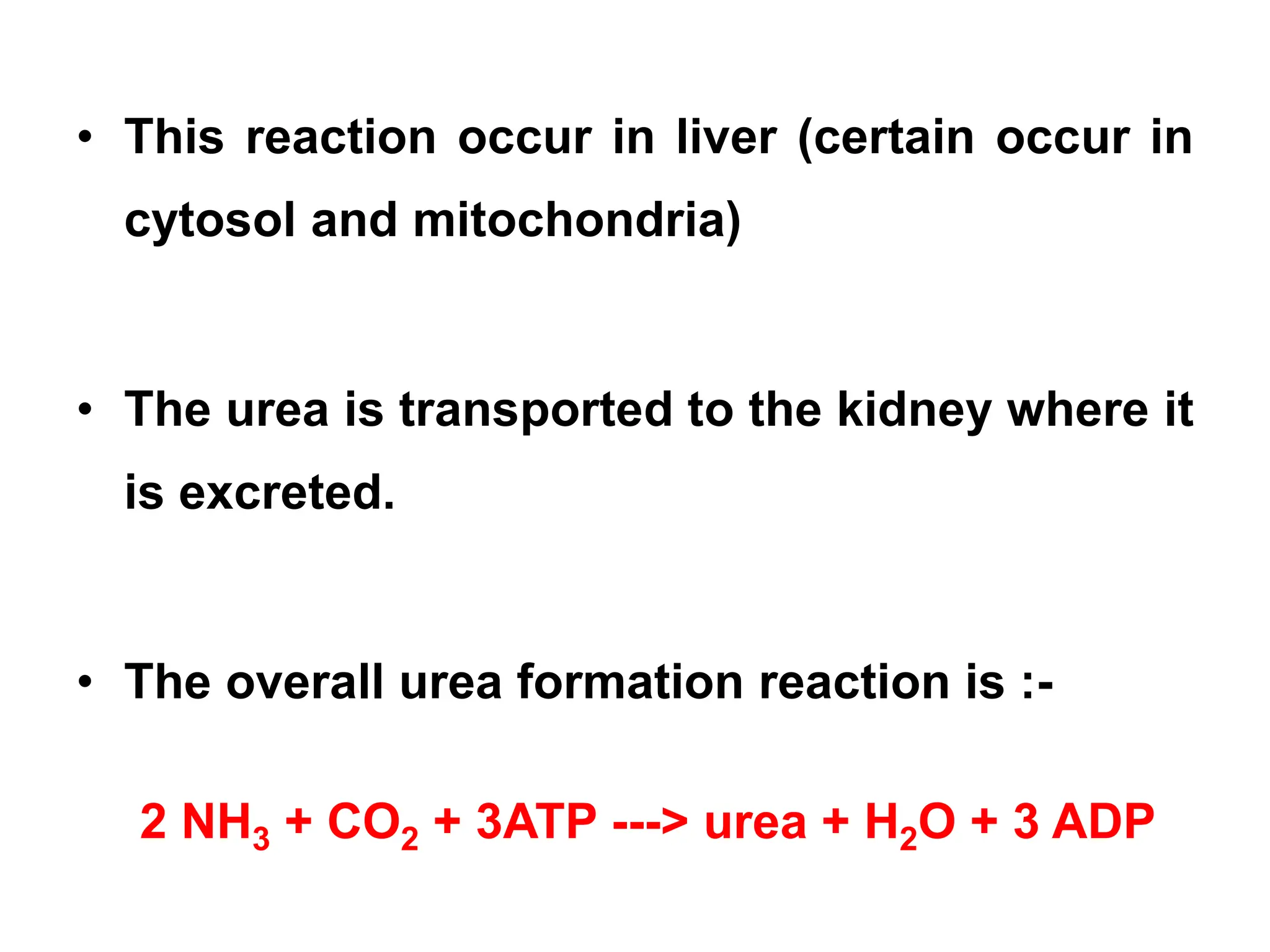 Urea cycle formation and its significance | PPTX