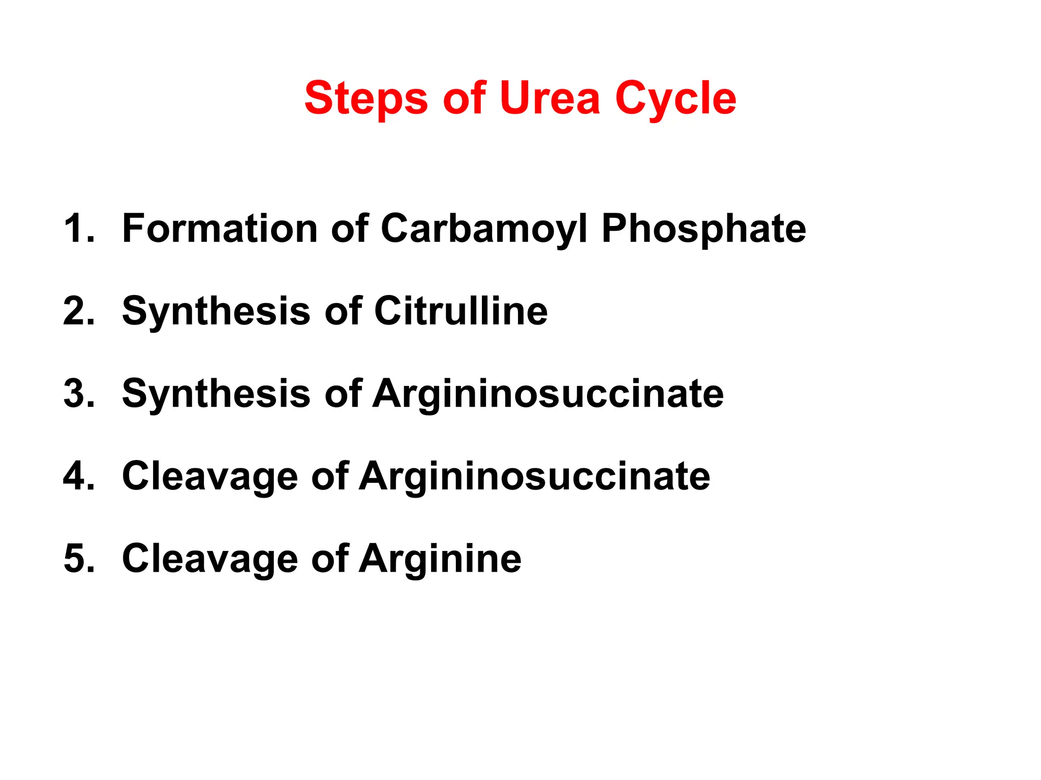Urea cycle formation and its significance | PPTX