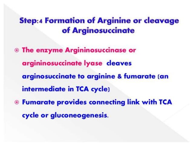 Urea cycle formation and its significance | PPT