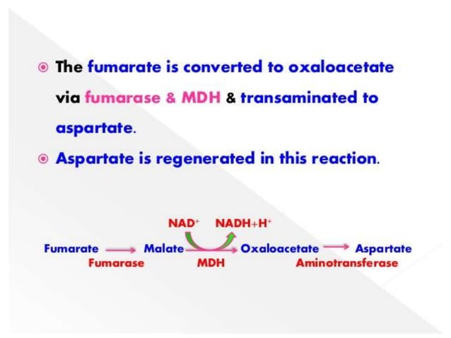 Urea cycle formation and its significance | PPT