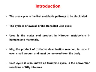 Urea cycle formation and its significance | PPTX