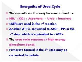 Urea cycle formation and its significance | PPTX