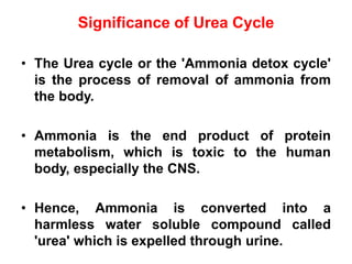 Urea cycle formation and its significance | PPTX