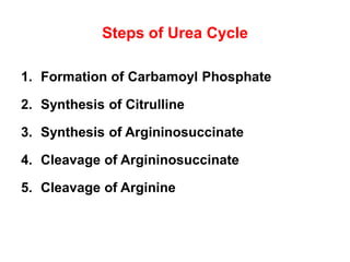Urea cycle formation and its significance | PPTX