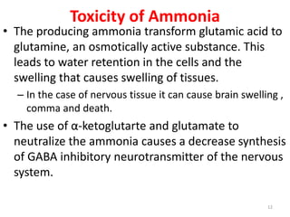 Urea cycle defect hyperammonemia | PPTX