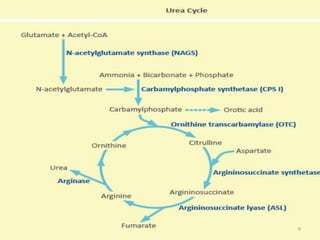 Urea cycle defect hyperammonemia | PPTX