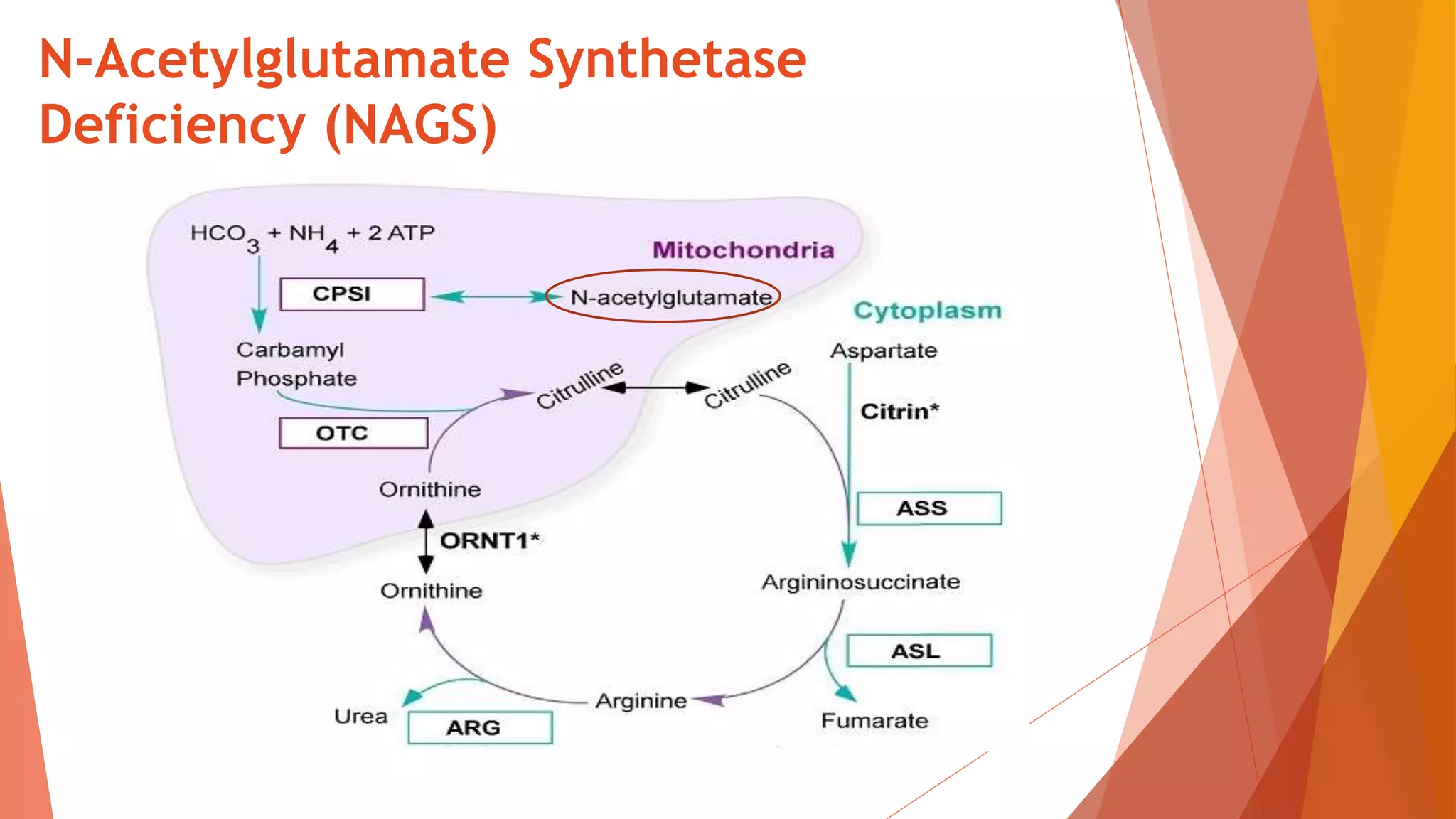 Urea cycle defects | PPTX