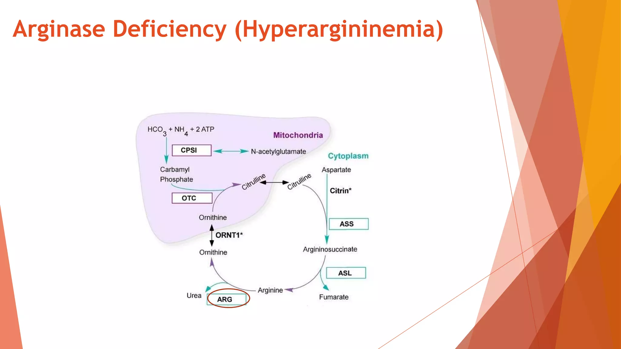 Urea cycle defects | PPTX | Chemistry | Science