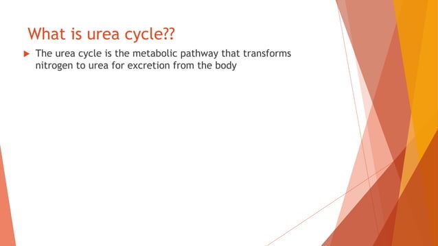 Urea cycle defects | PPTX | Chemistry | Science