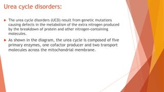Urea cycle defects | PPTX