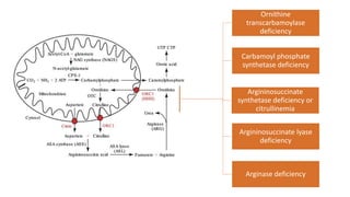 Urea cycle defects.pptx