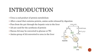 Urea cycle disorder | PPTX