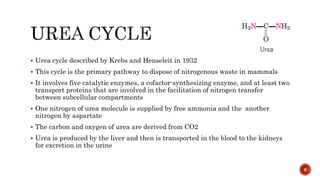 Urea cycle disorder | PPTX